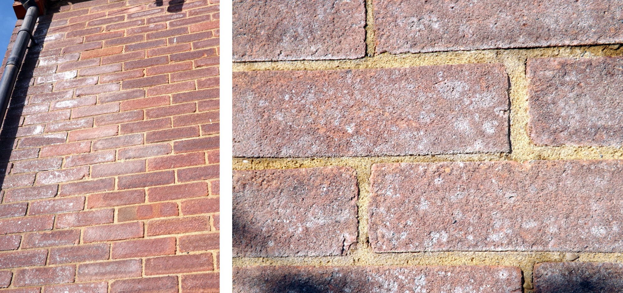 Limitations - LimeLike